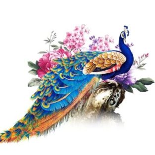 What's Your Hidden Desire? A True Personality Test