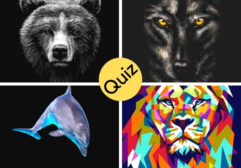 Quiz: A Quick Test Will Show Your Sleep Chronotype - Get Better Sleep