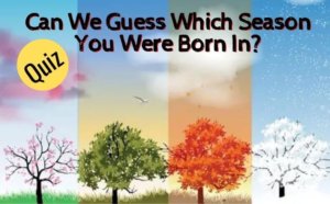 Can We Guess Which Season You Were Born In?