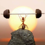 Take The Quiz To See How Weird Are You