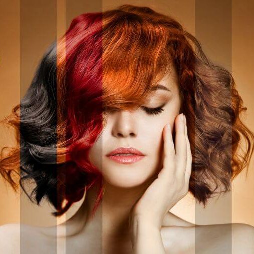 What's My Ethnicity? Take the Test Find Your Origins